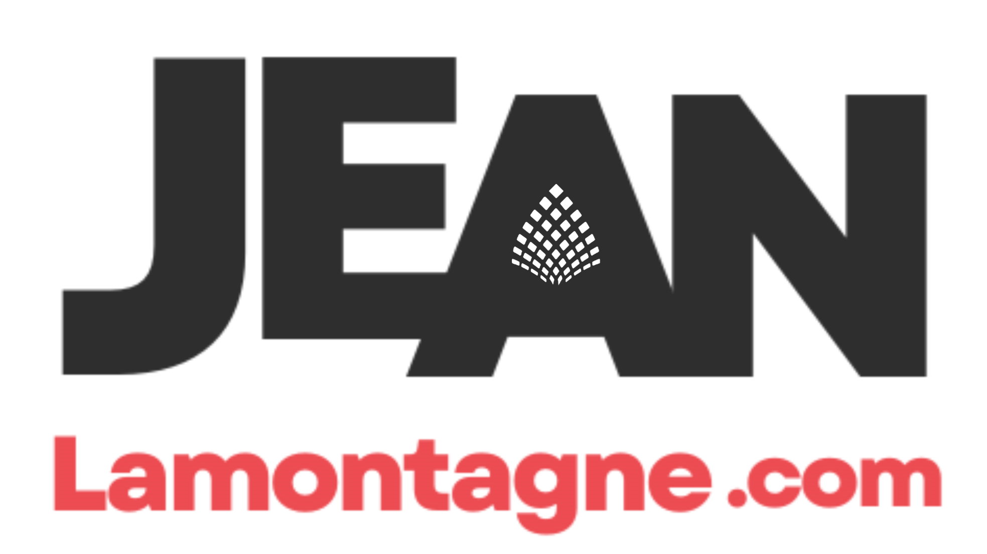 jeanlamontagne.com, devenir champion de la vente via le web ...